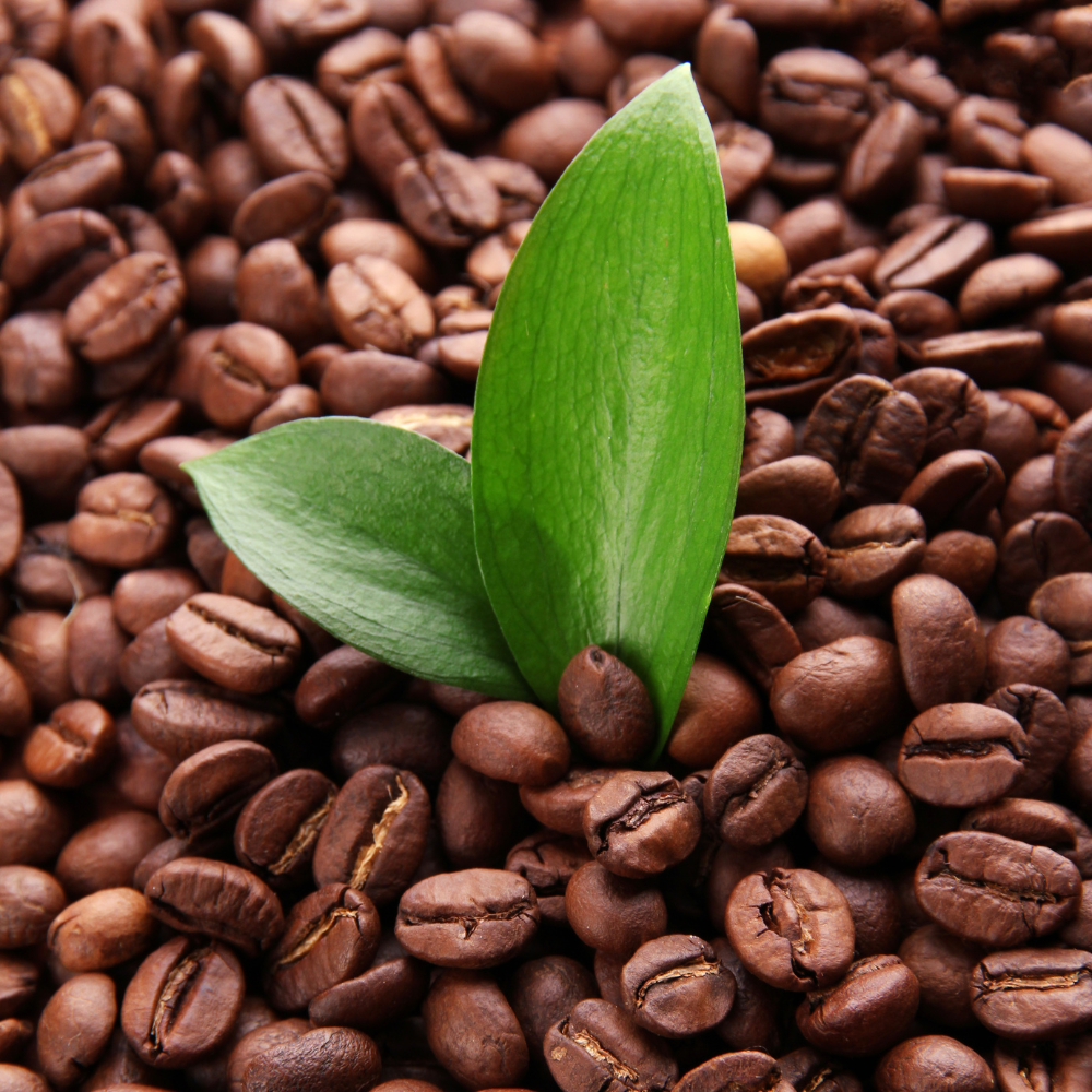 Cafe Del Sol Coffee!